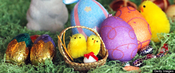 Pollitos animados pintados - Imagui